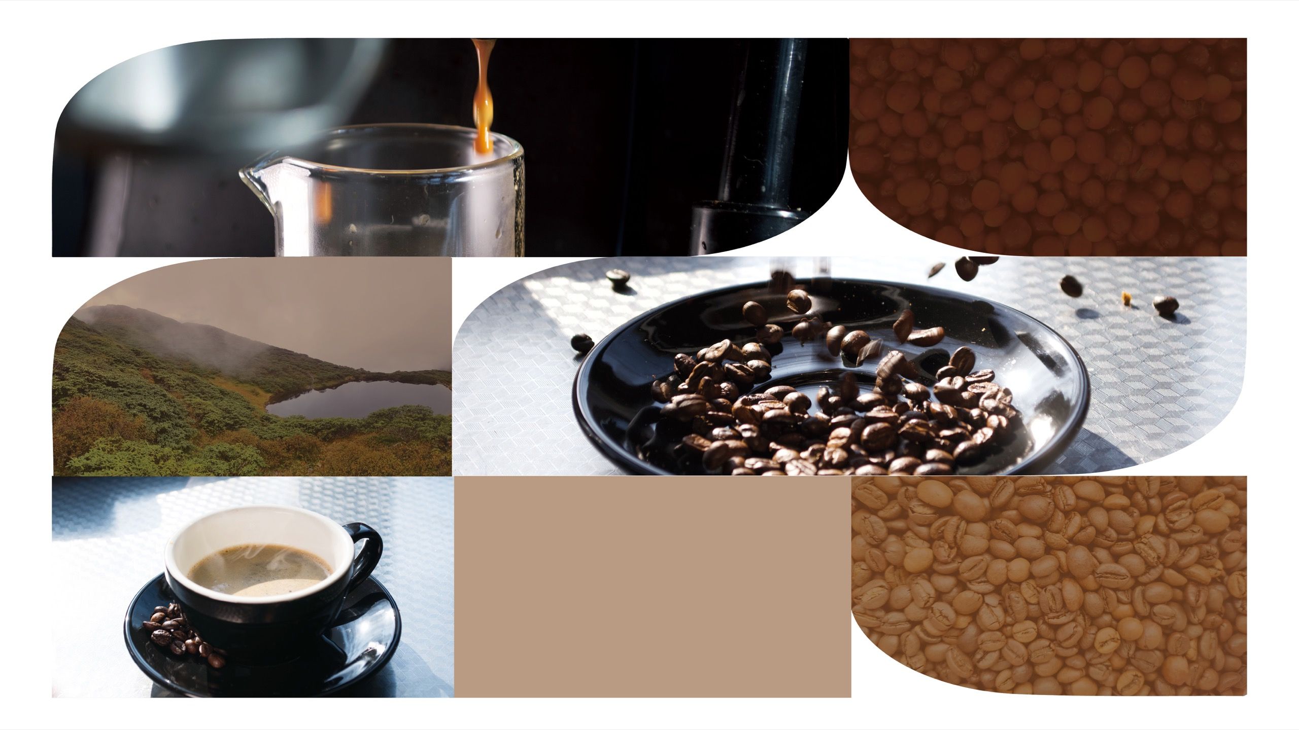 Testing Grounds: Will Yunnan Coffee Ever Earn International Acclaim ...