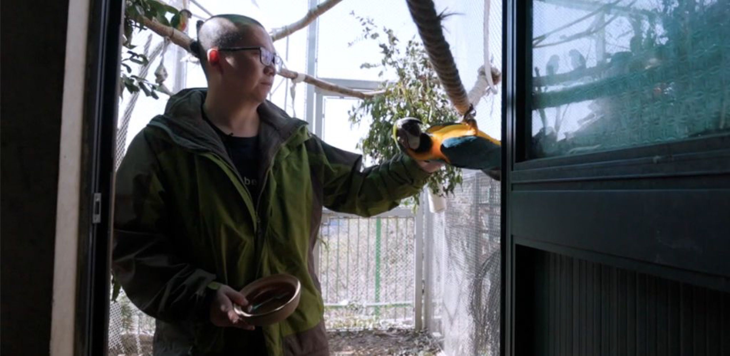 One Man's Story of Protecting Wildlife in China | The World of Chinese