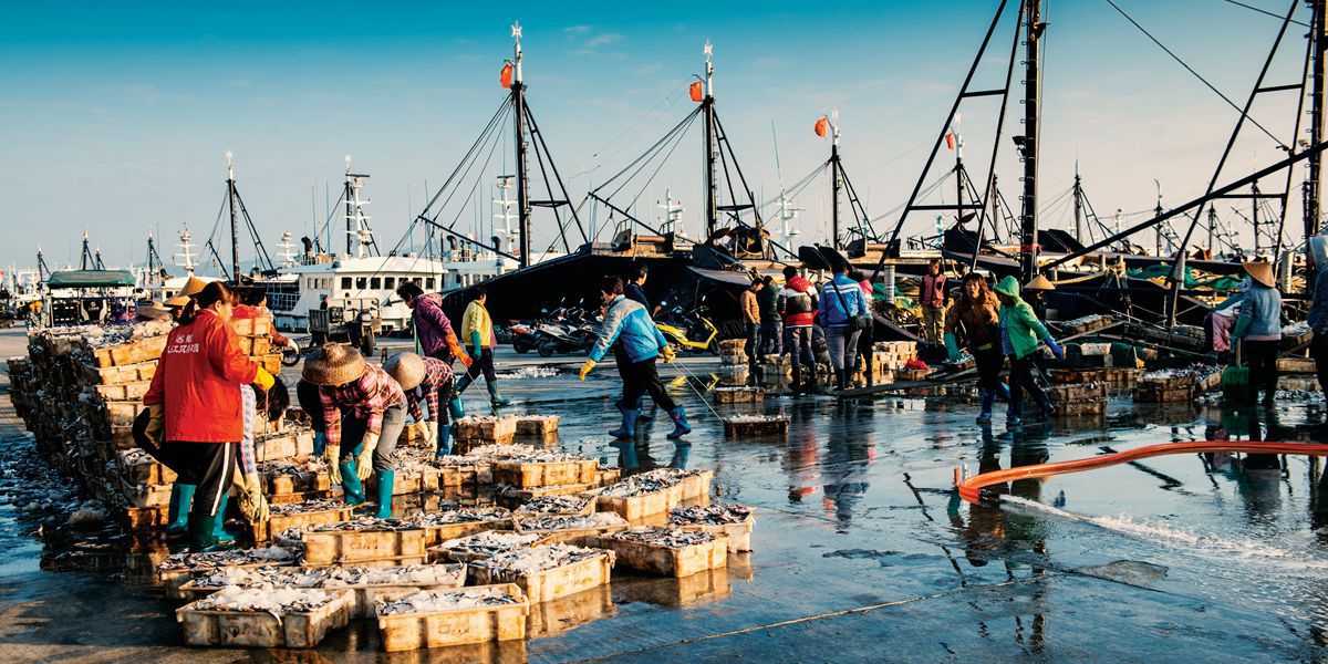 Food for Port | The World of Chinese