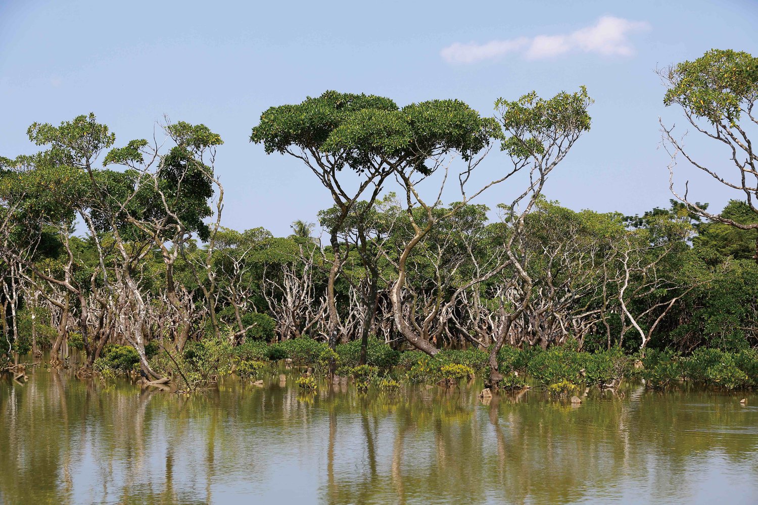 Discover the Mysteries of Hainan’s Mountains and Rainforests | The ...