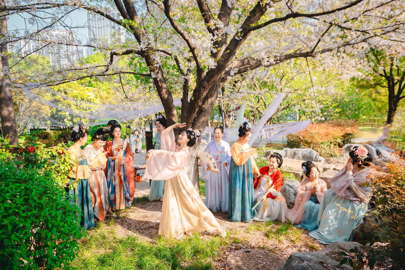 A Walk in Color: Chasing Spring Across China
