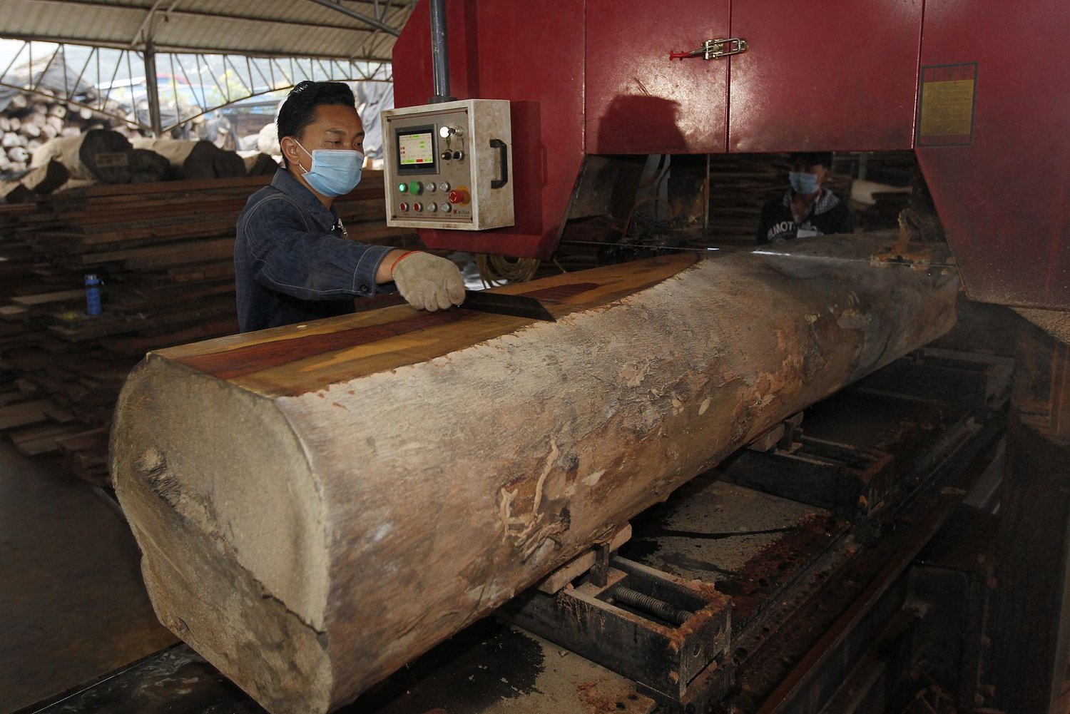China’s Rare Woods: Bearers of Beauty, Toil, and the Supernatural | The ...