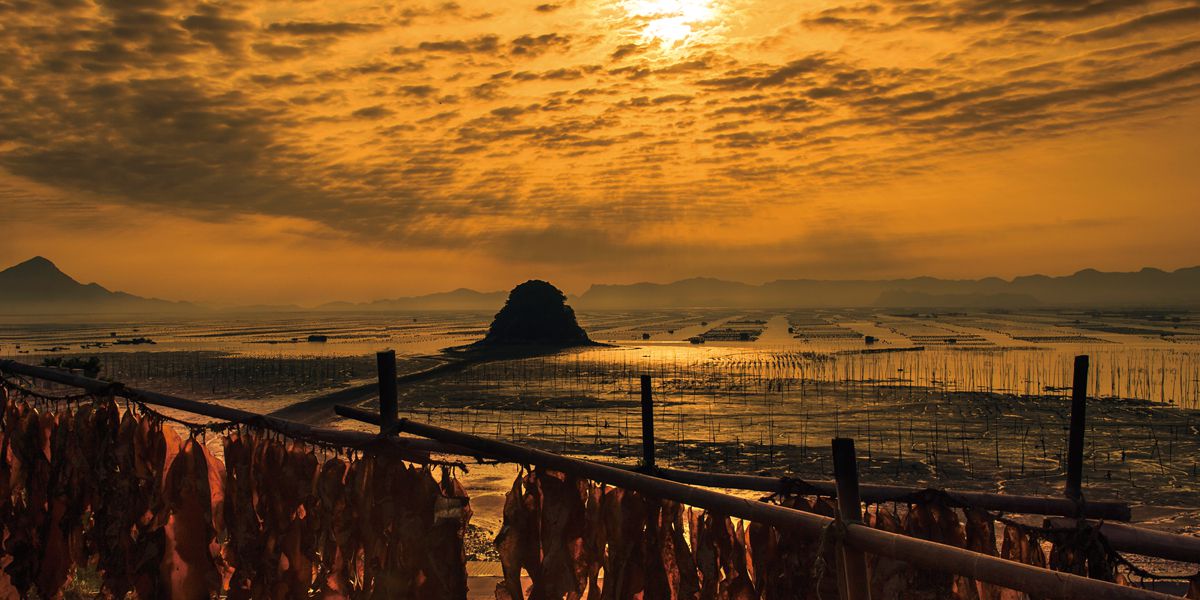 Kelp Wanted | The World of Chinese Kelp Wanted | The World of Chinese