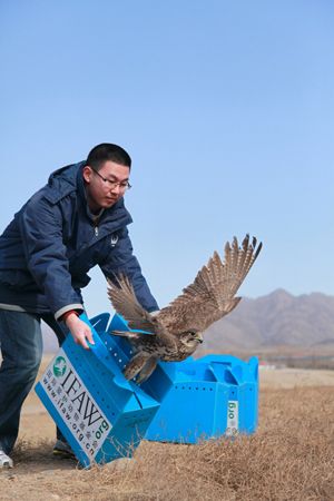 Beijing’s Raptors and Captors | The World of Chinese