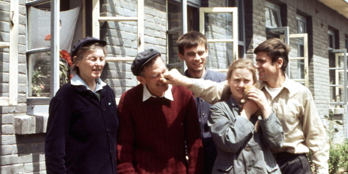 The Chinese-Born American | The World of Chinese