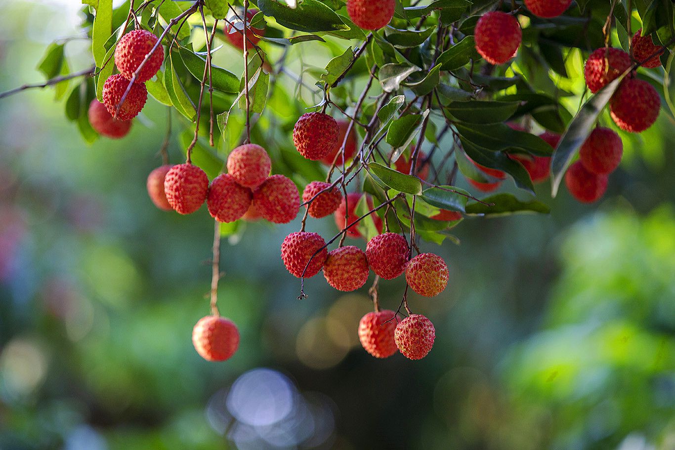 Ancient China's April Fools Day | The World of Chinese