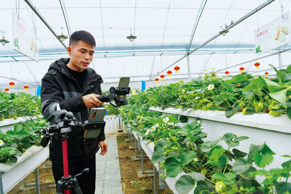 Data Farming: How Digitalization is Transforming China’s Countryside