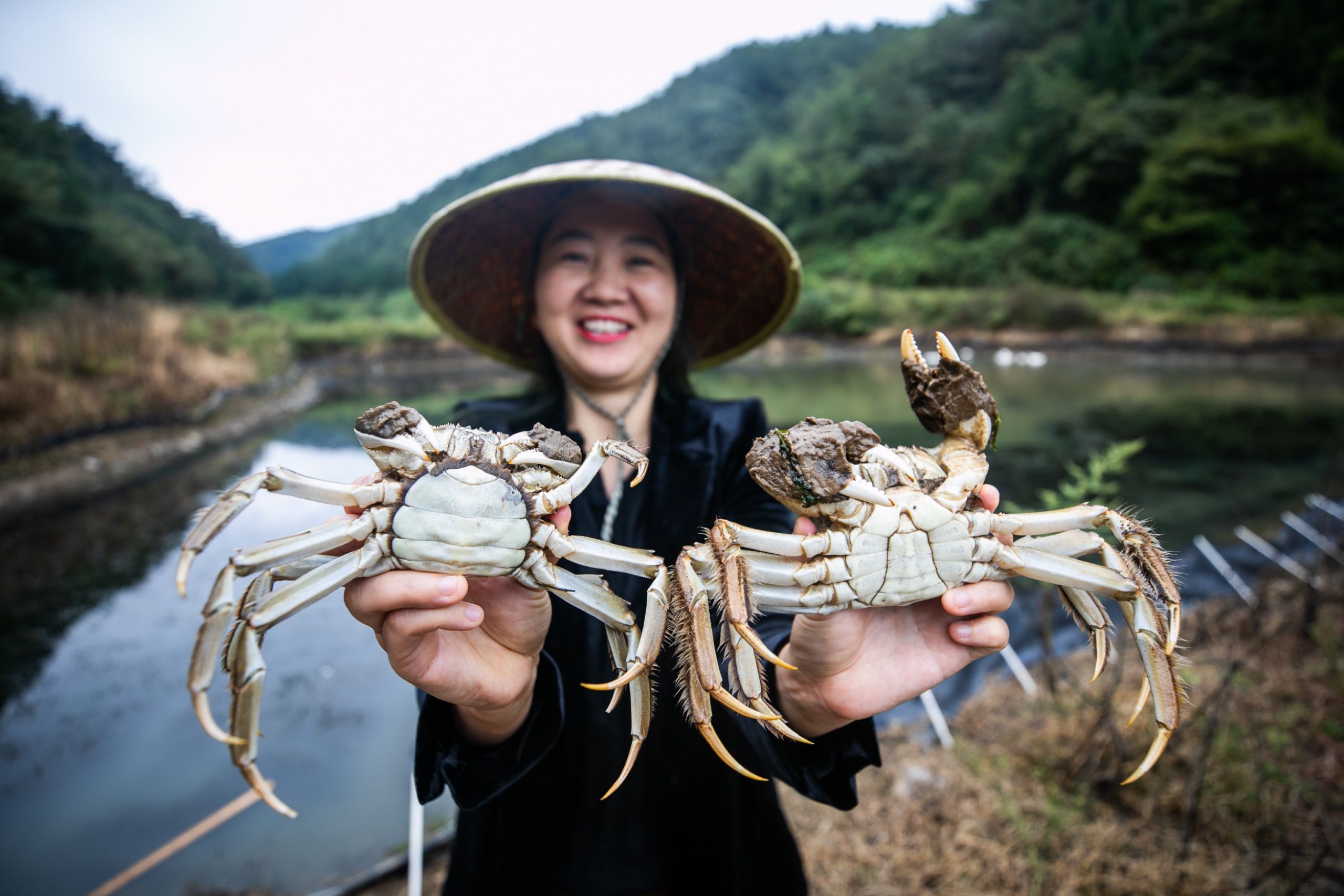 A History of China's Love of Crab-Eating | The World of Chinese