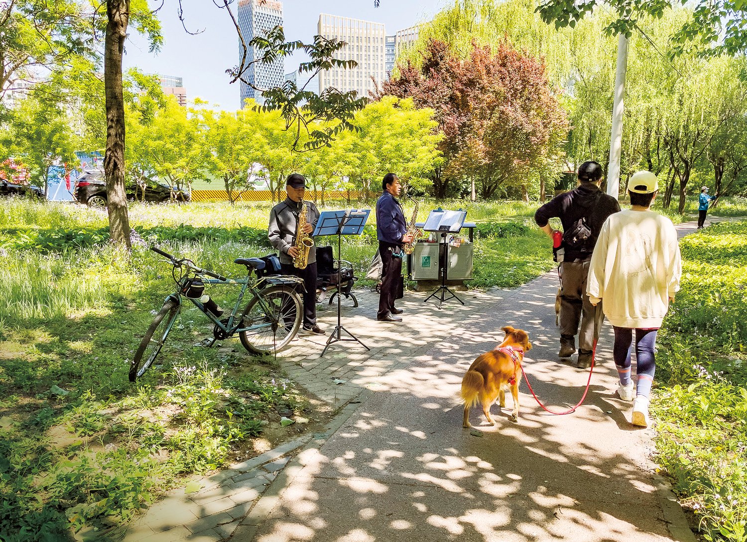 Parks, No Recreation: What the Future Holds for China’s Contested ...