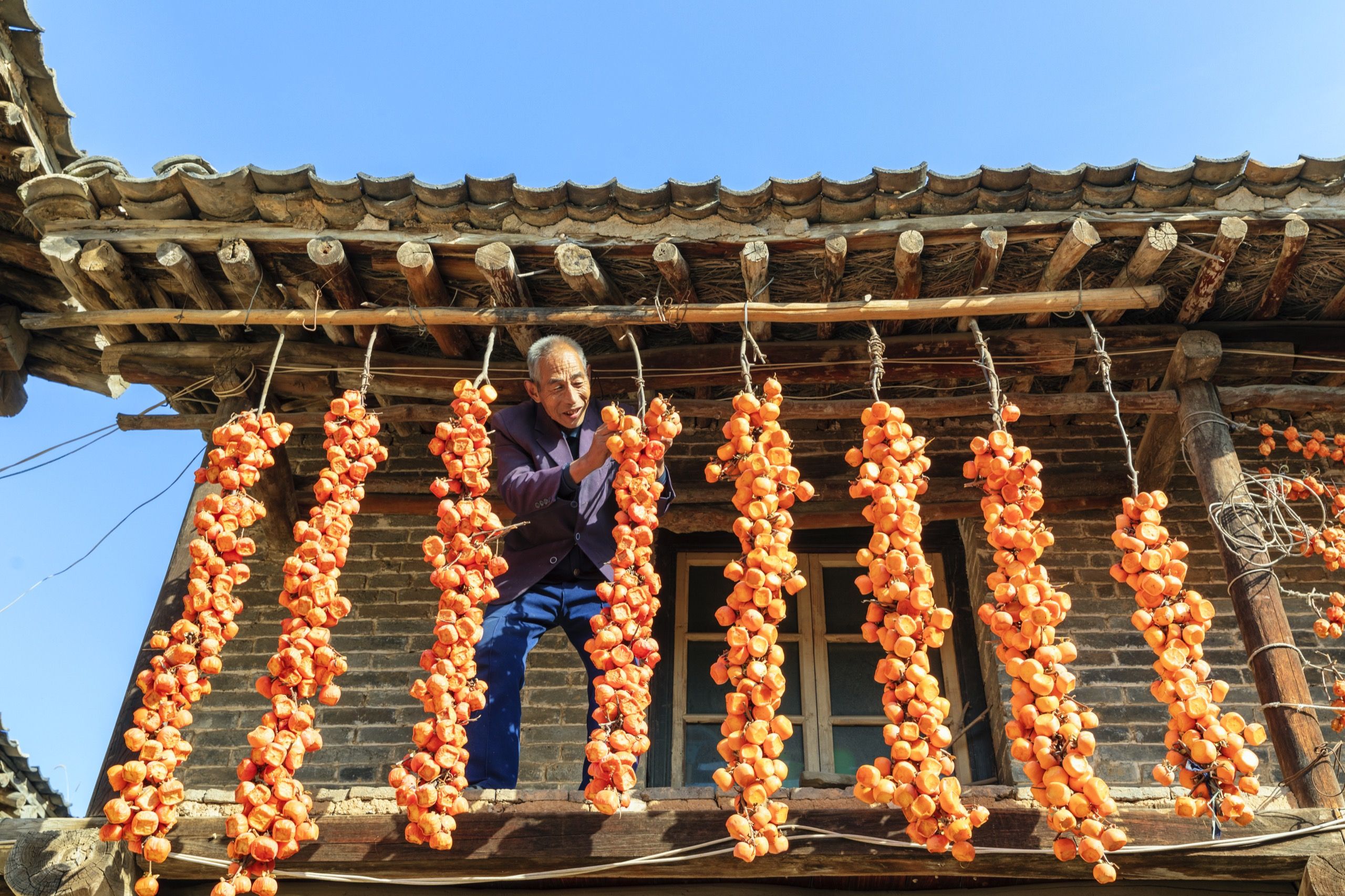 Forget Pumpkins, Fall is Persimmon Season in China | The World of Chinese