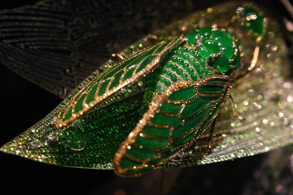 Virtuous Creepy-Crawlies: The Symbolism of Insects in Chinese Culture ...