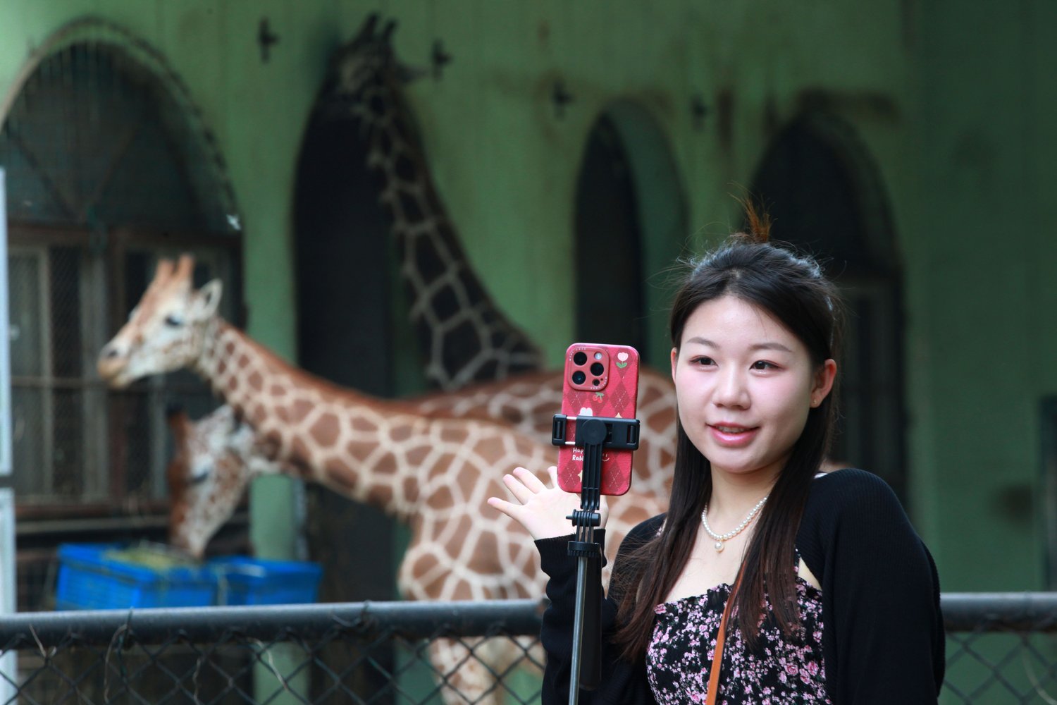Can China’s Zoo Boom Ever Lead to Better Animal Welfare? | The World of ...