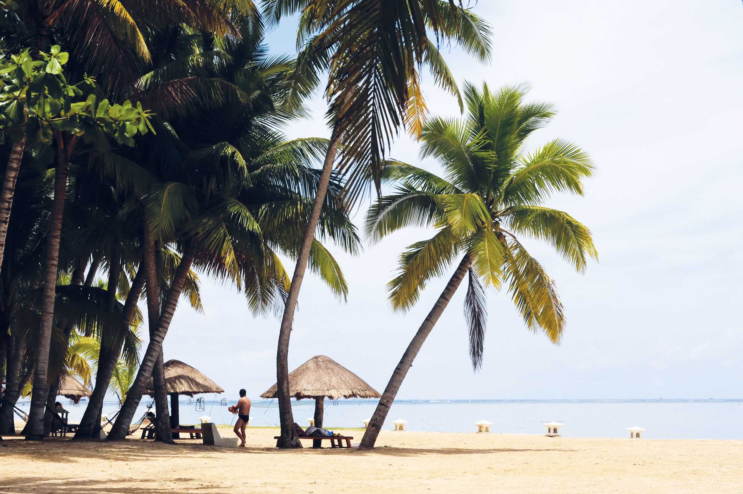 Coconut Country