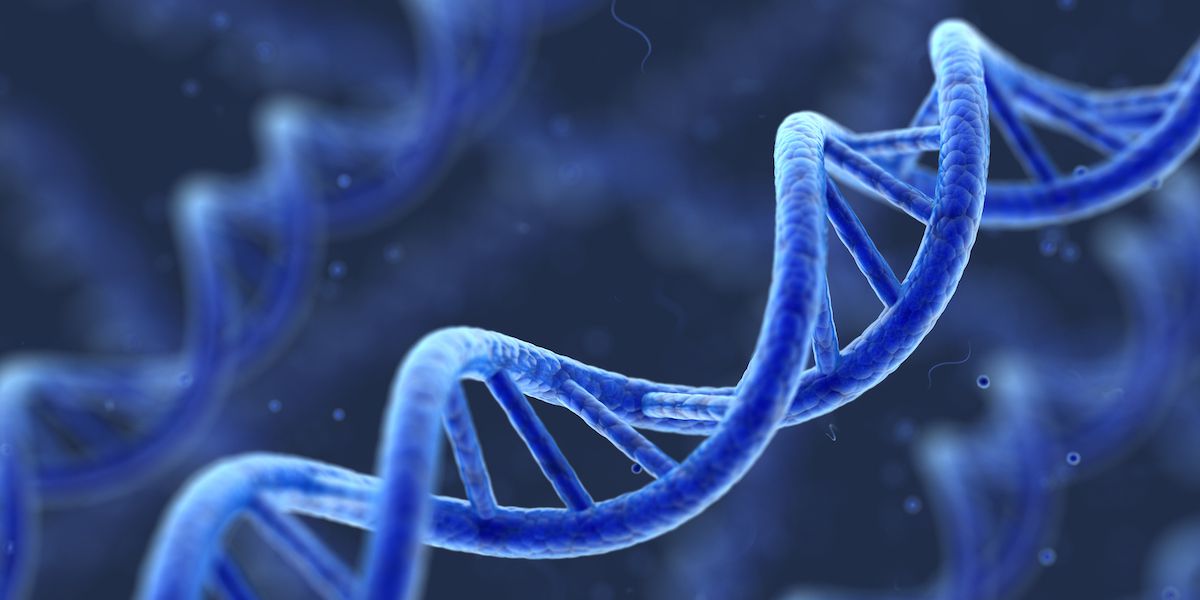 Gene Machines | The World of Chinese