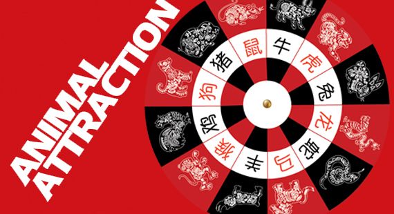 Animal Attraction | The World of Chinese