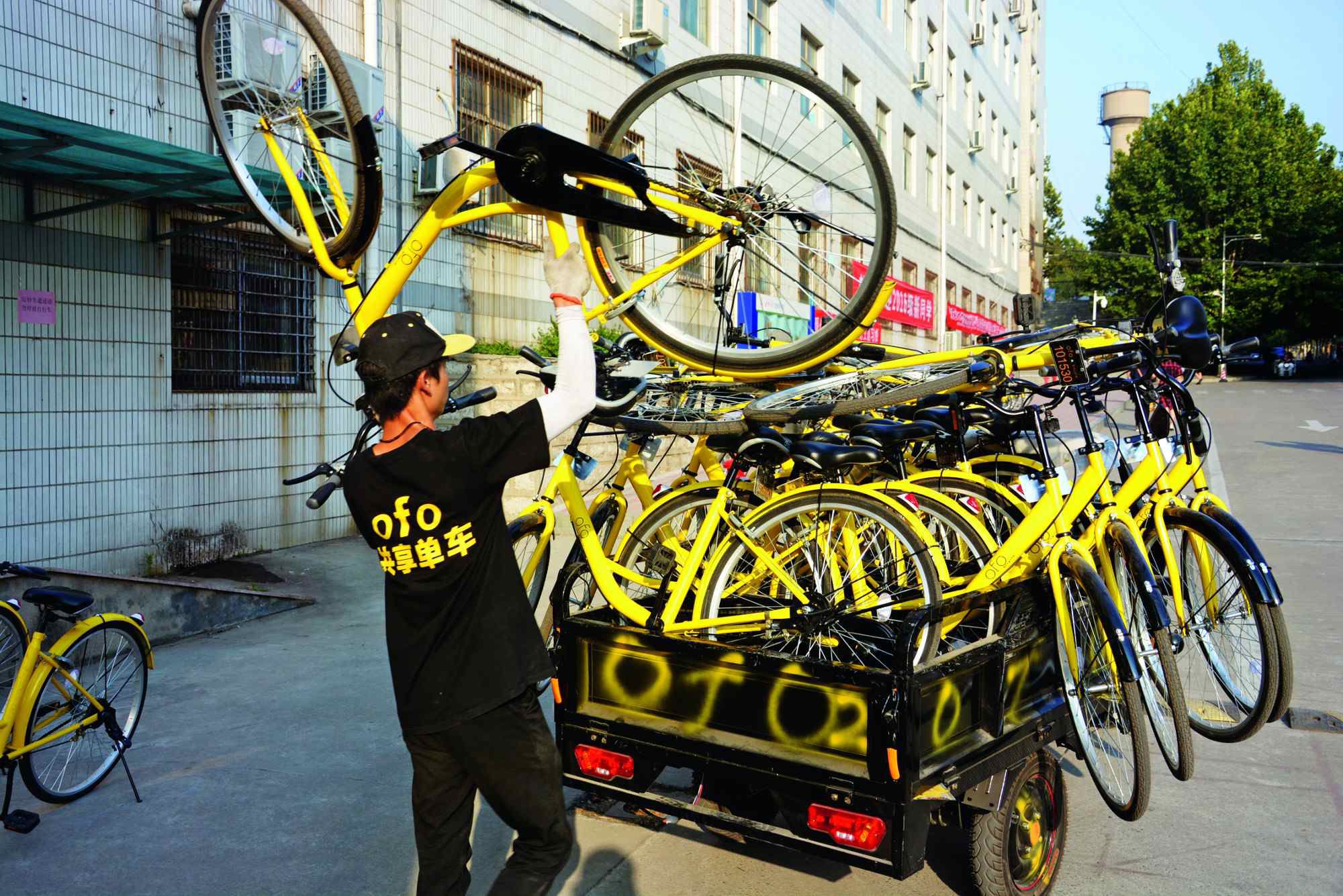 Bike Curious | The World of Chinese