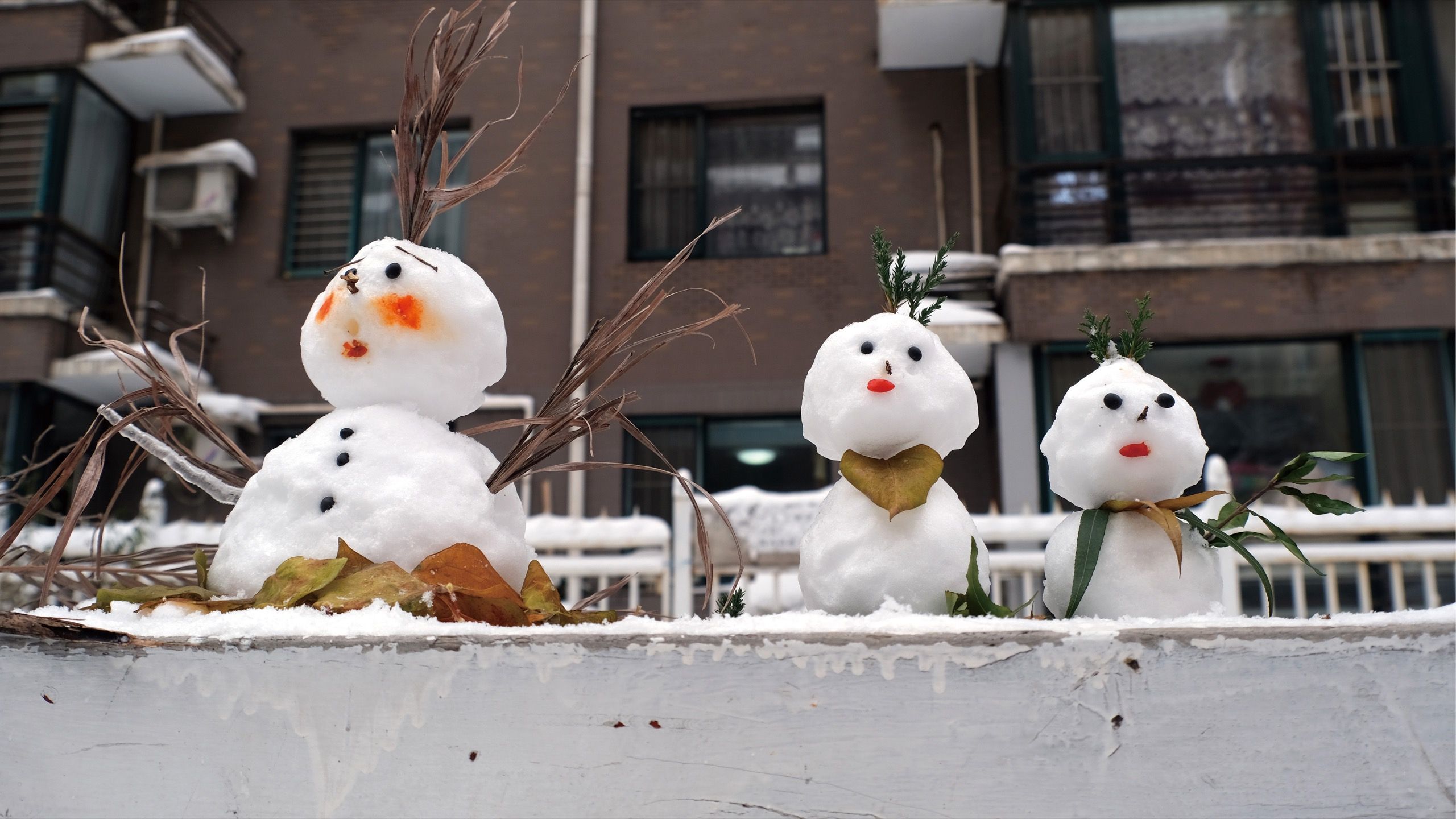 What do Folks Get Up to Over Winter in Dongbei? | Photo Story | The ...