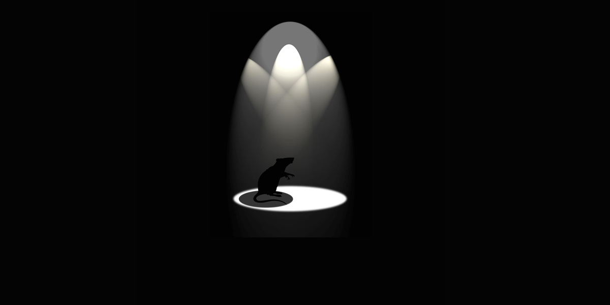 Everybody Wants to be Fa-mouse | The World of Chinese