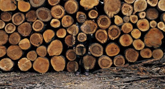 The Invisible Man | The World of Chinese