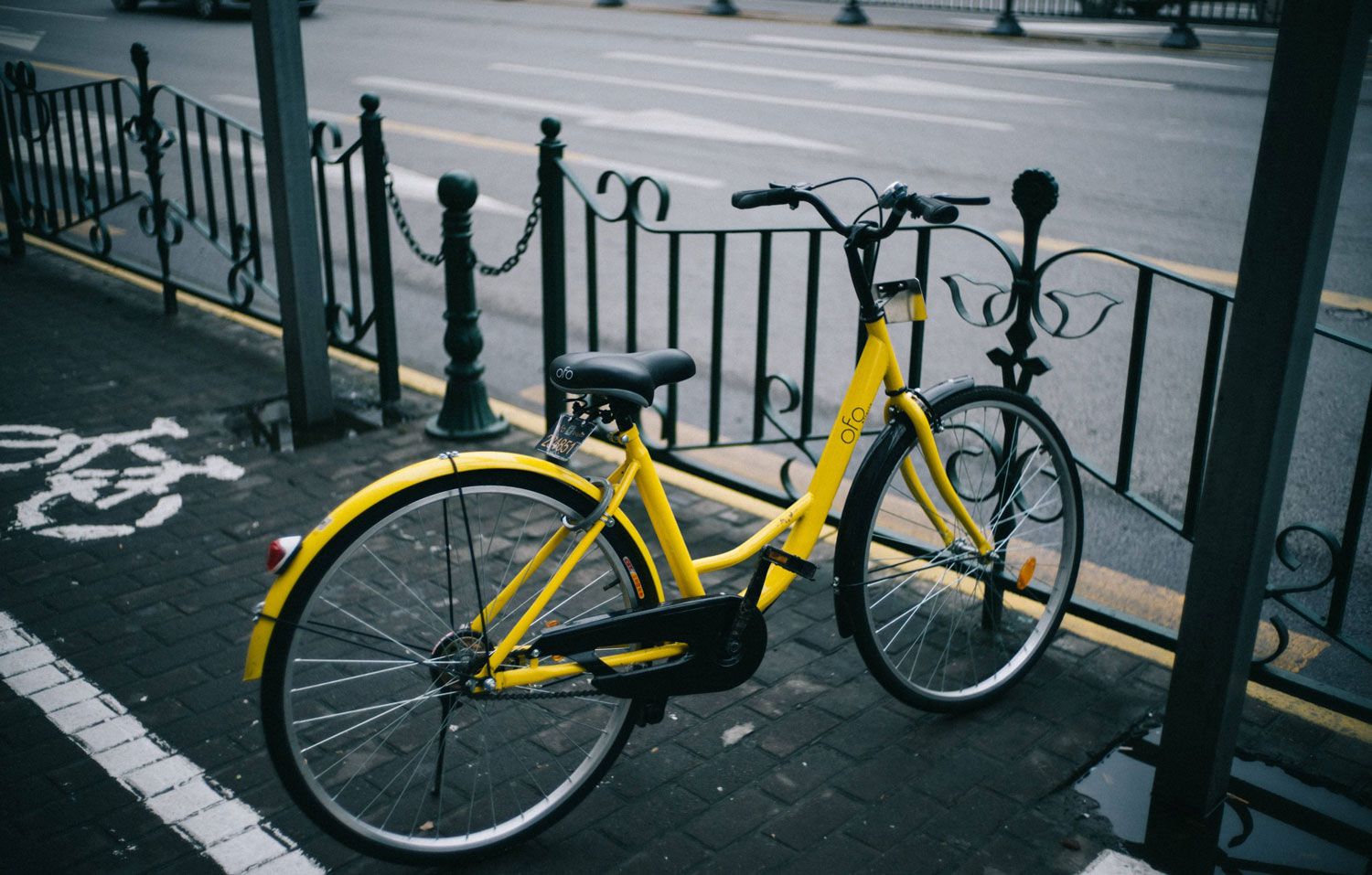 Rocky Ride for ofo | The World of Chinese