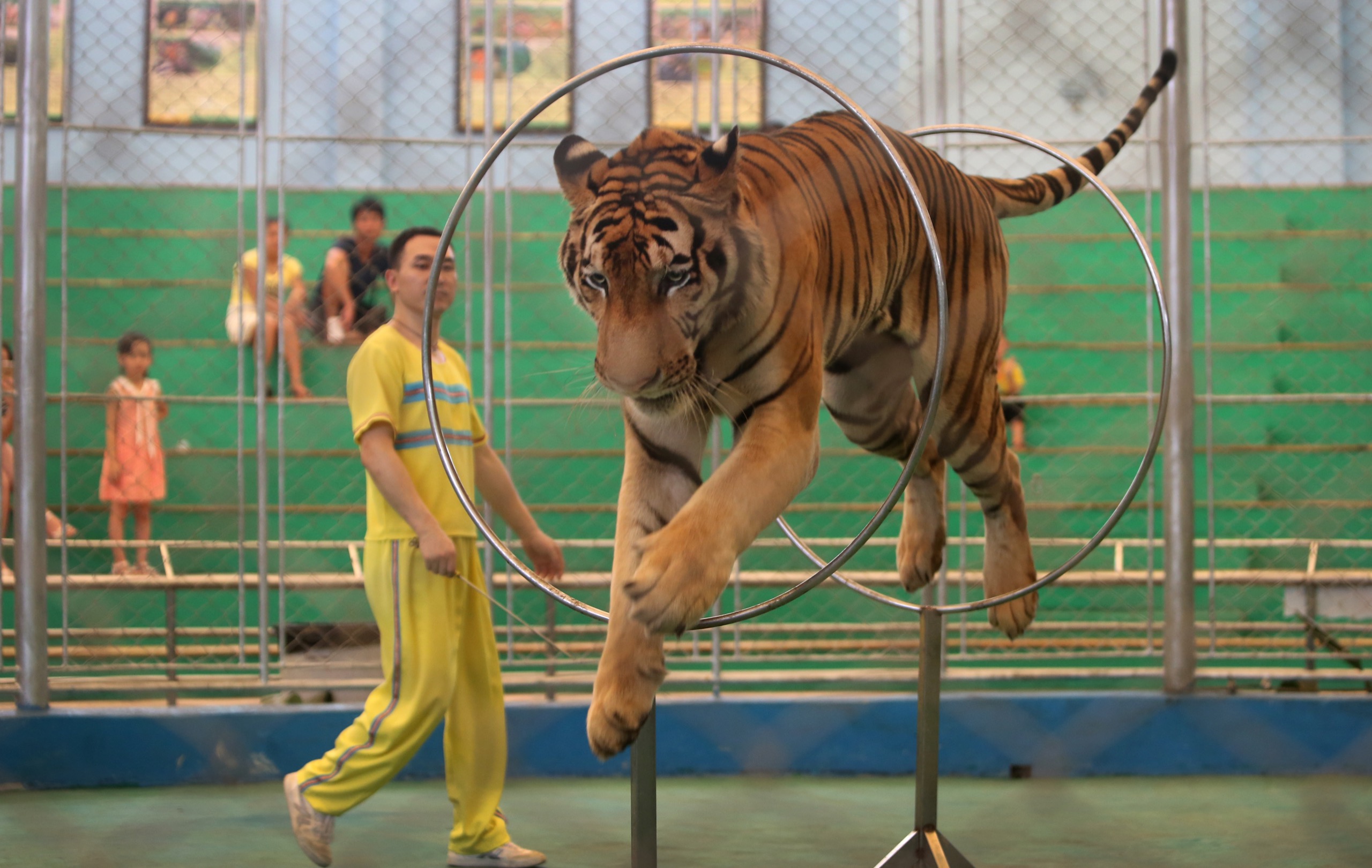 The Show Must Not Go On