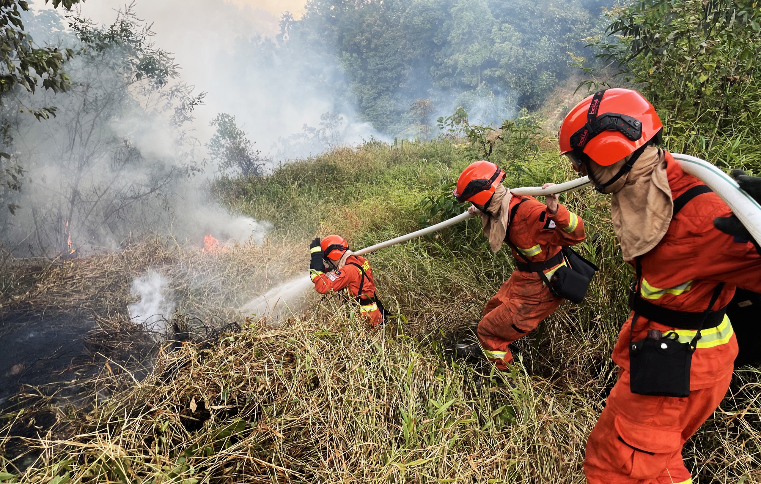 Surviving a Summer of Extremes